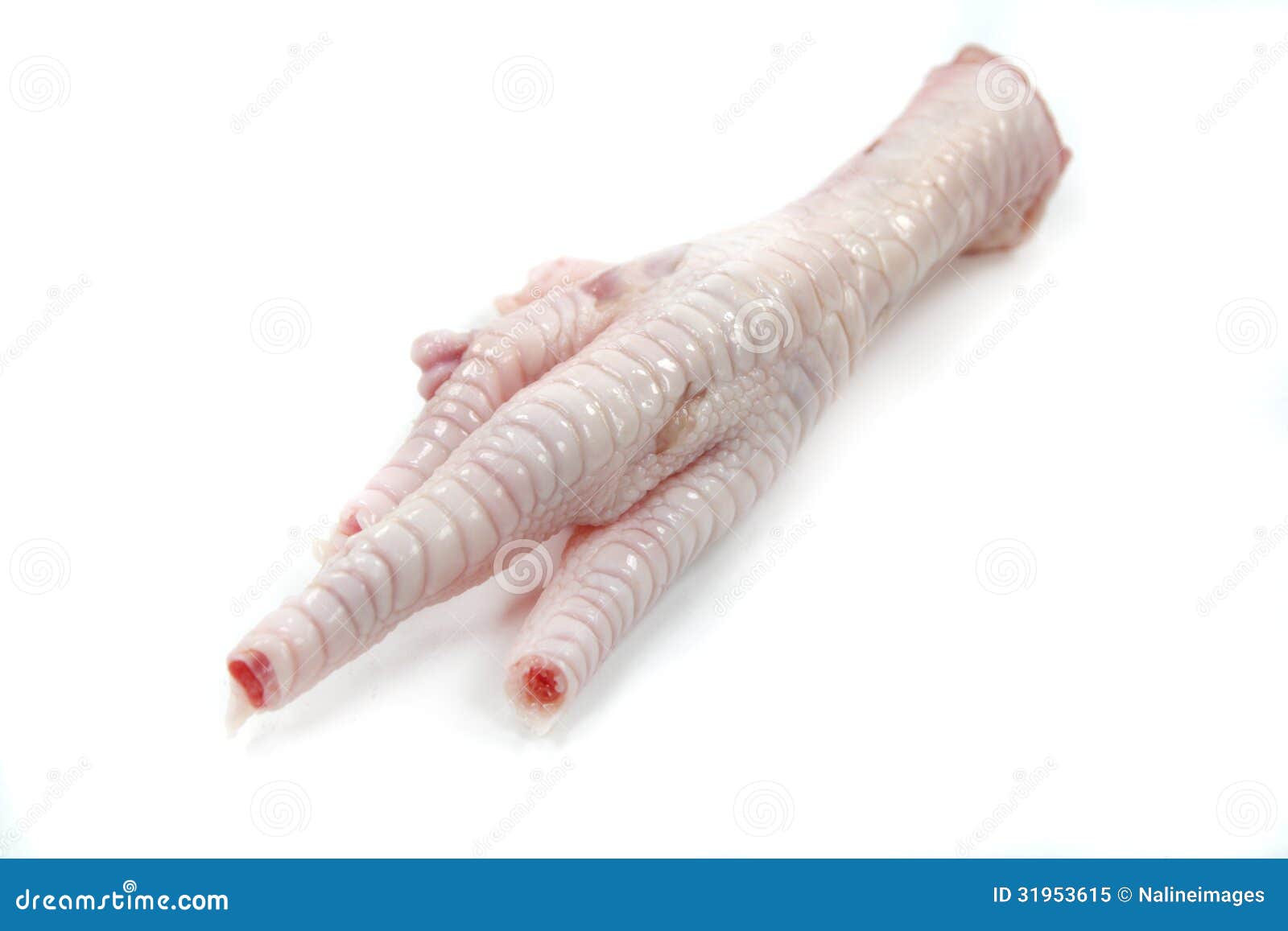 Raw Chicken Foot, Knife, Roots And Ampoules With Elixirs For Occult ...