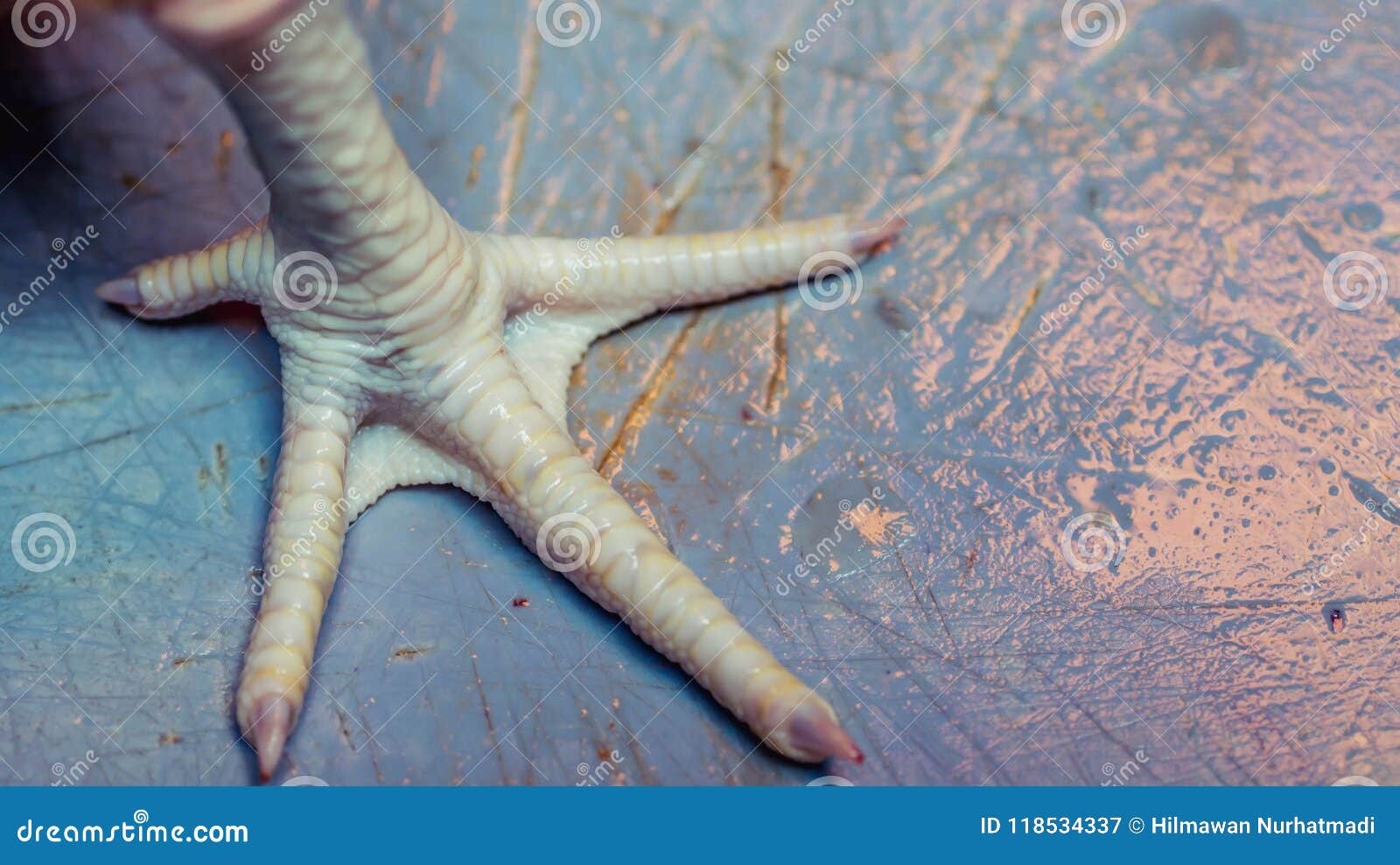 Chicken Foot Standing on Cutting Board Stock Image - Image of standing ...
