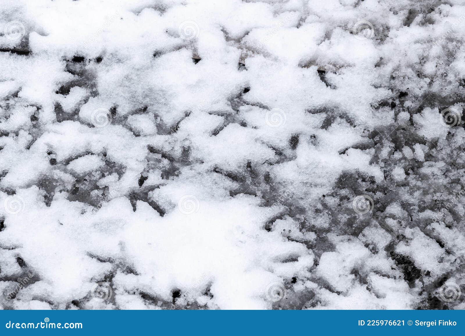 Chicken Footprints in the Snow Stock Image - Image of impression, claw ...