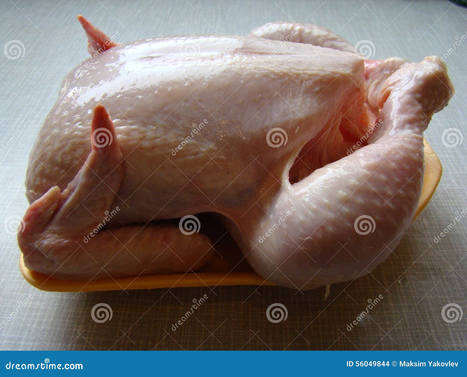 Chicken stock photo. Image of diet, chicken, food, broiler - 56049844