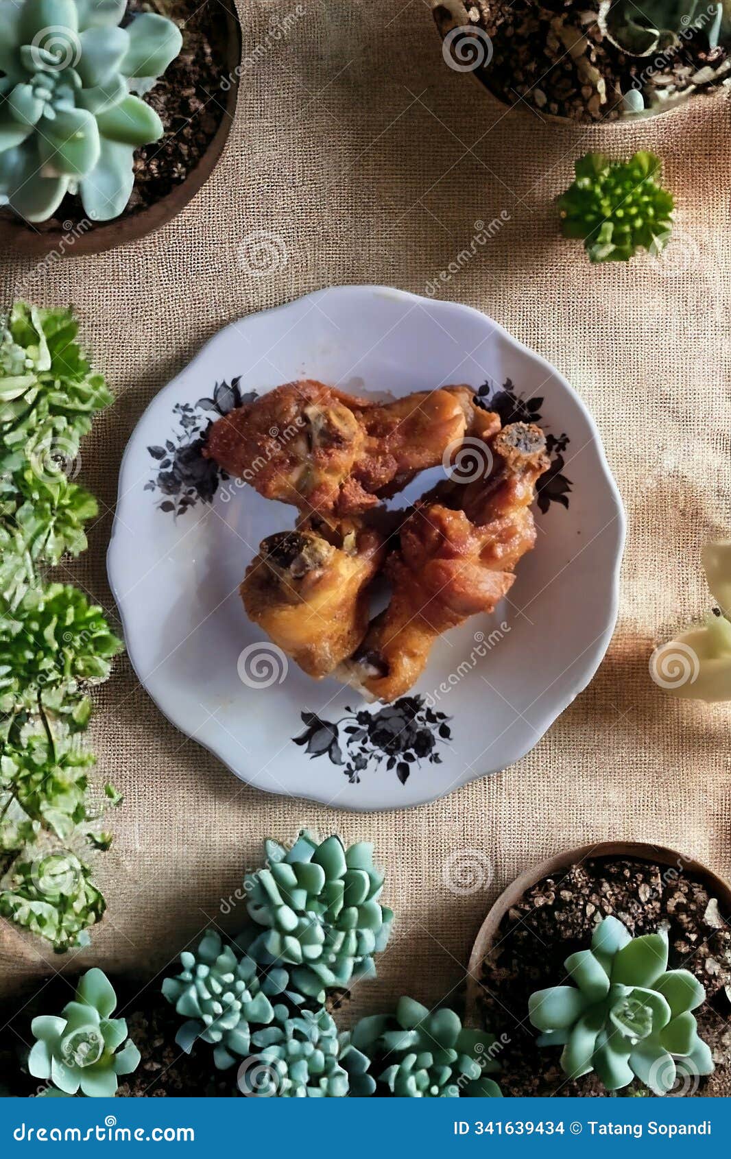 Chicken Fries Plate Tree Nature Stock Photo - Image of fries, tree ...