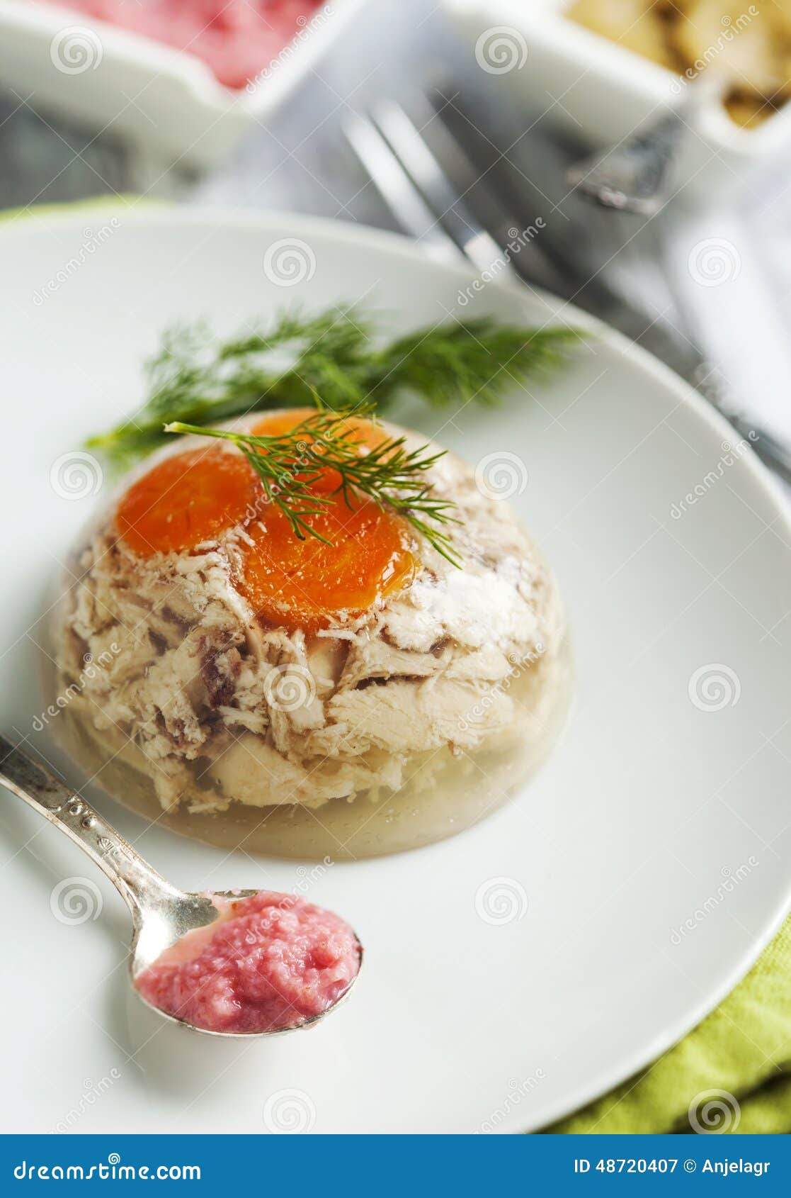 Chicken galantine aspic stock image. Image of green, herb - 48720407