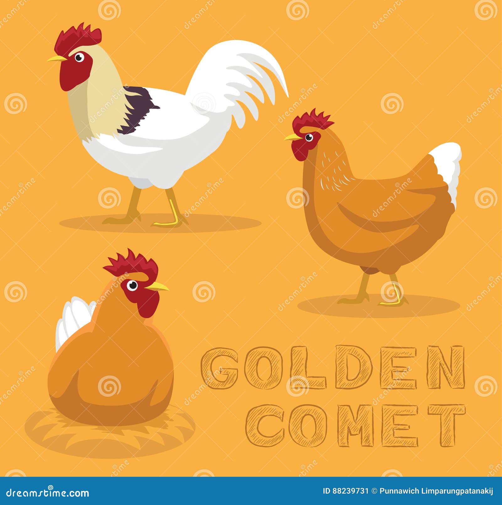 Chicken Golden Comet Cartoon Vector Illustration Stock Vector ...
