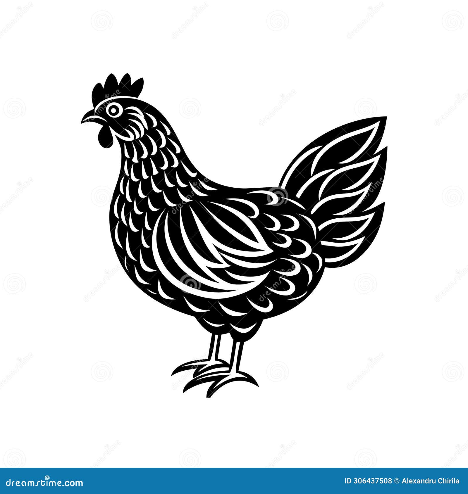 Chicken graphic vector EPS stock vector. Illustration of chickens ...