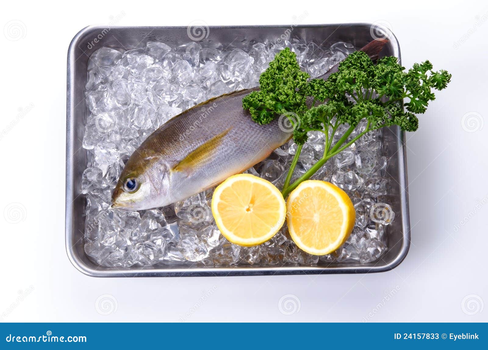 Chicken grunt stock image. Image of diet, green, white - 24157833