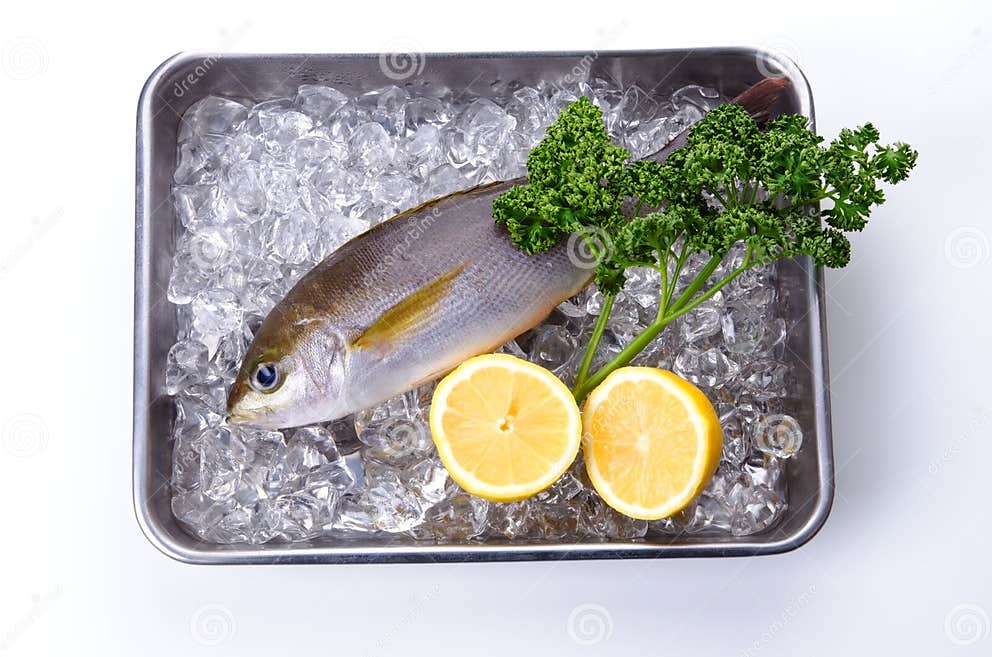 Chicken grunt stock image. Image of diet, green, white - 24157833