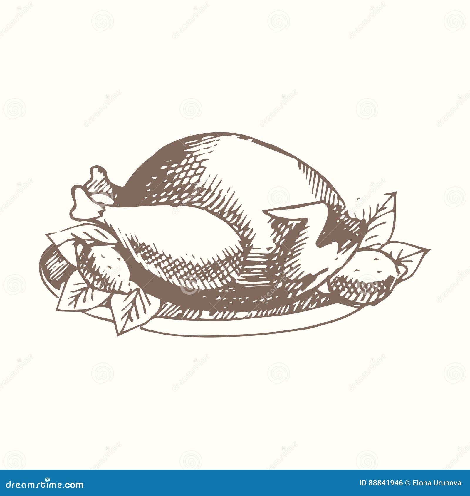 Hen Or Chicken Hand Drawn With Contour Lines On White Background ...