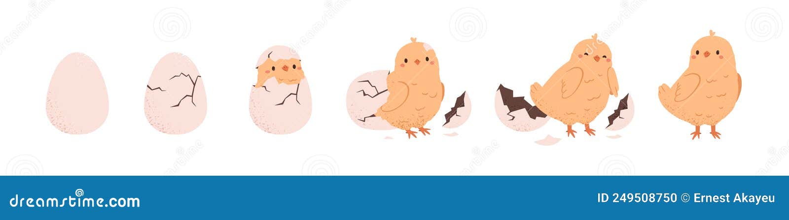 Chicken Hatching from Egg Stages, Breaking Shell. Cute Yellow Chick ...
