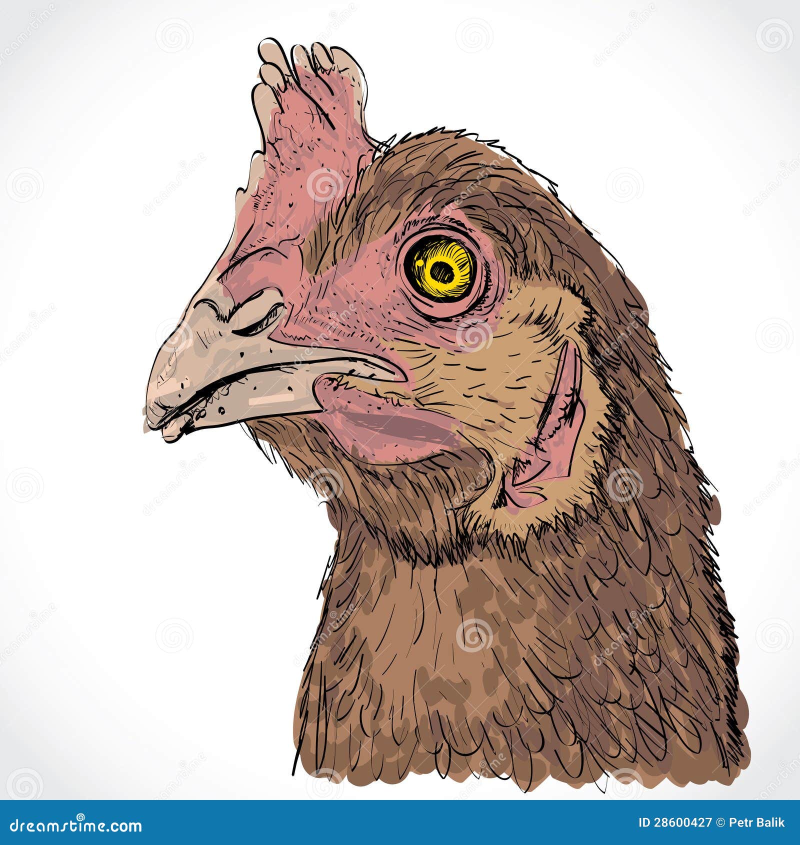 Chicken Head Royalty-Free Cartoon | CartoonDealer.com #28600427