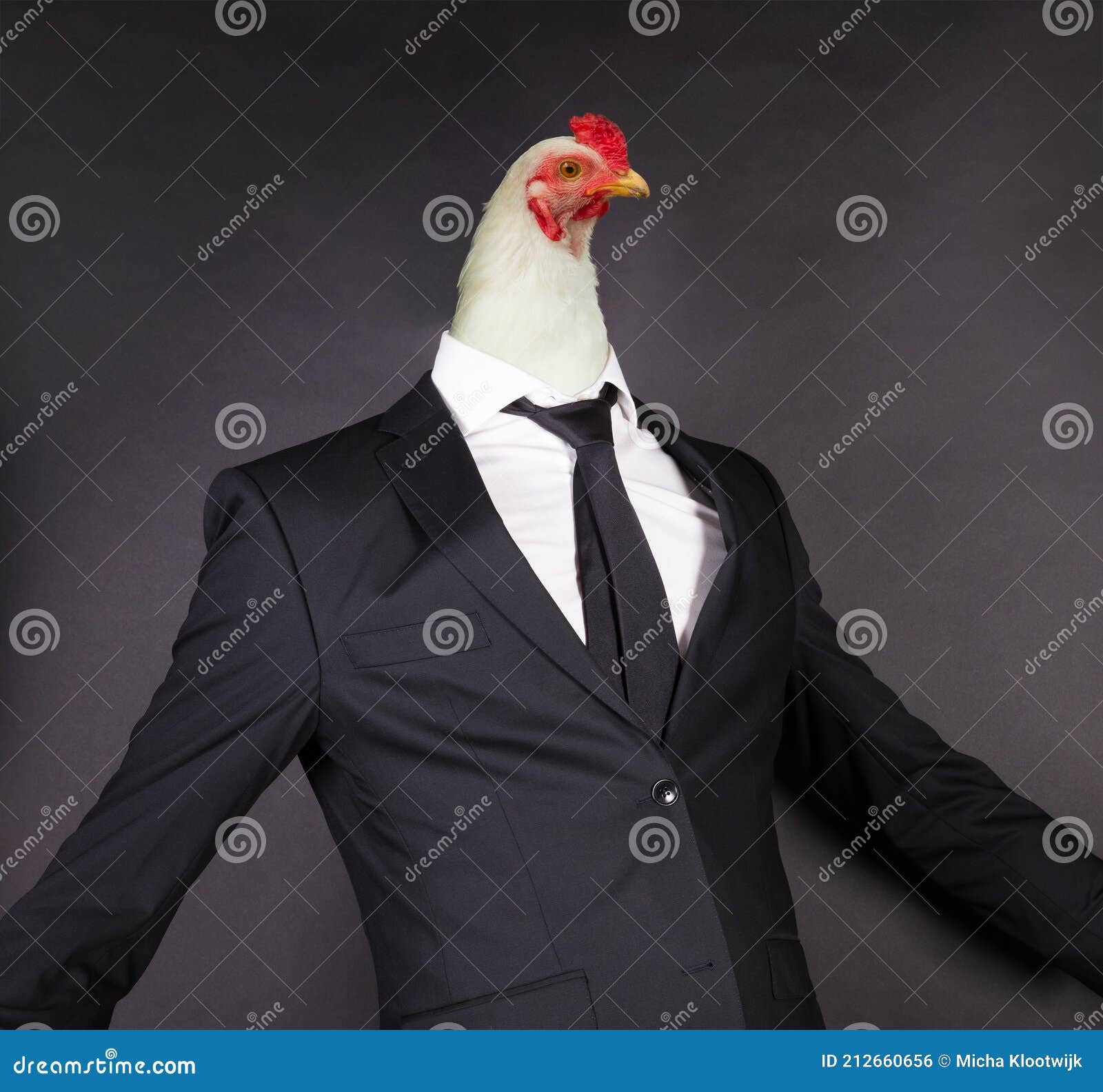 Chicken Head in a Black Suit Stock Photo - Image of black, small: 212660656