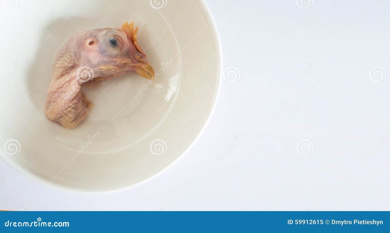 Chicken head stock image. Image of plate, cooking, chicken - 59912615