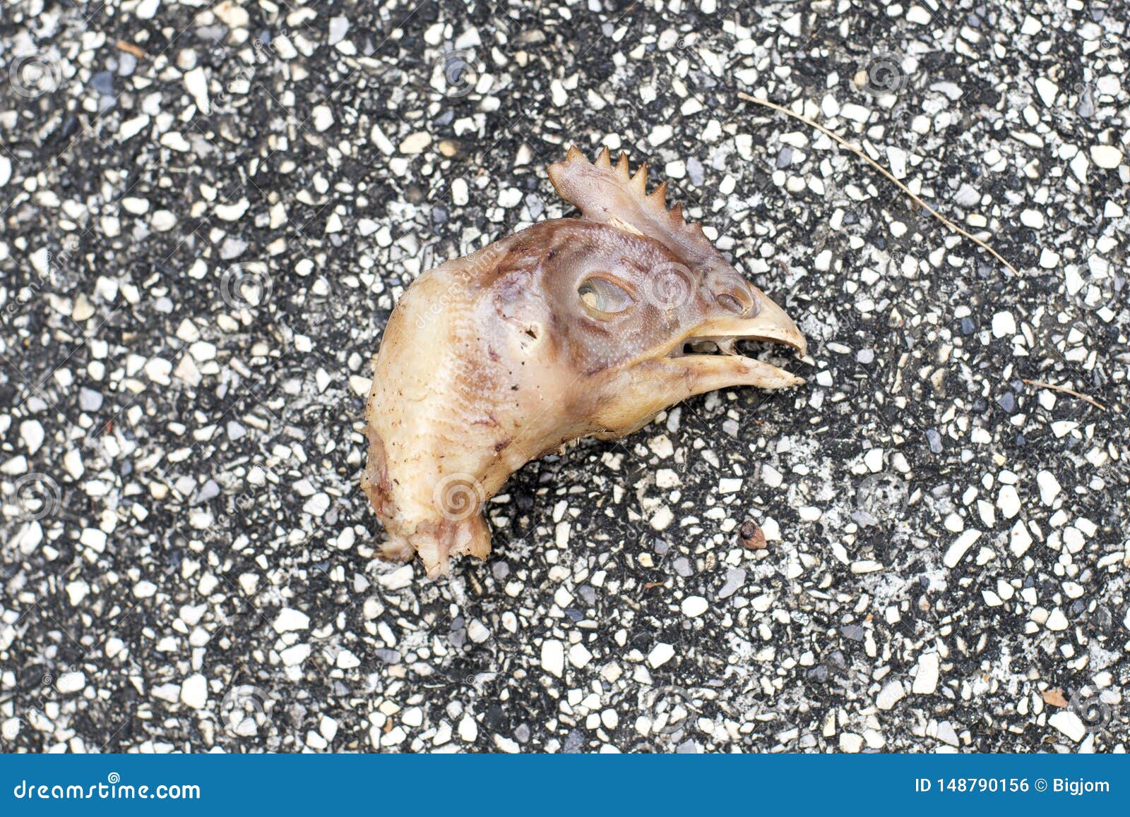 Chicken Head on Whets Stone Background and Surface of Terrazzo Floor ...