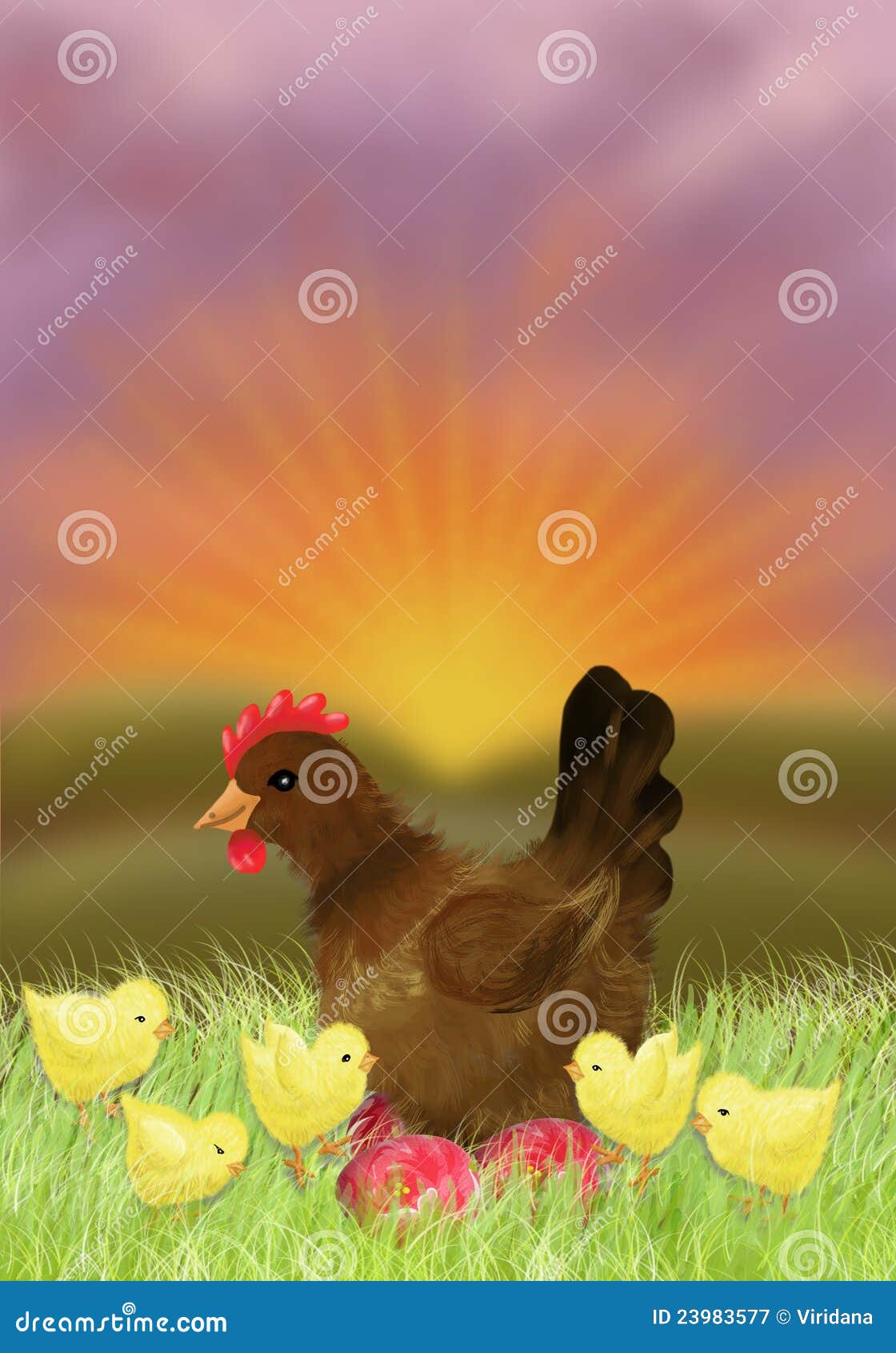 Chicken and Hen in the Sunset Stock Illustration - Illustration of ...