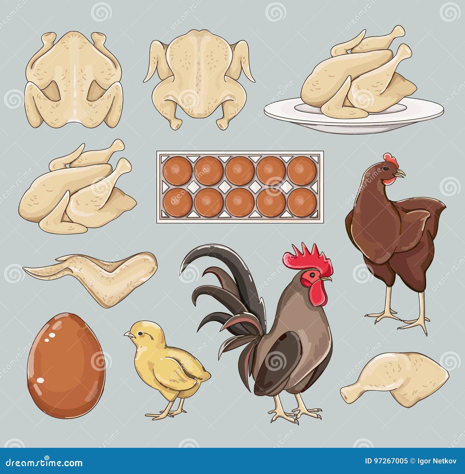 Chicken icons set stock vector. Illustration of cooked - 97267005