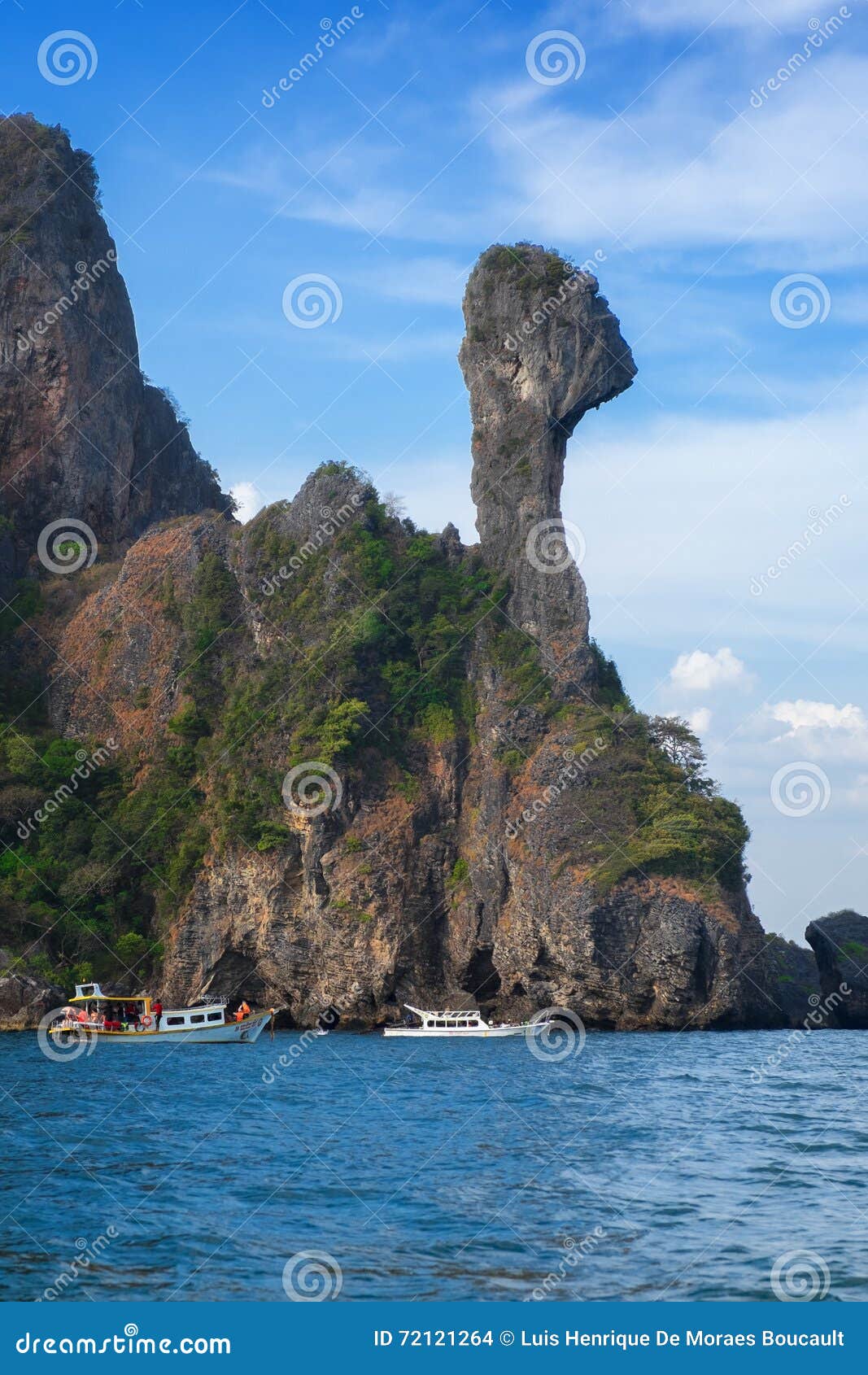 Chicken Island Vacation editorial stock image. Image of nature - 72121264