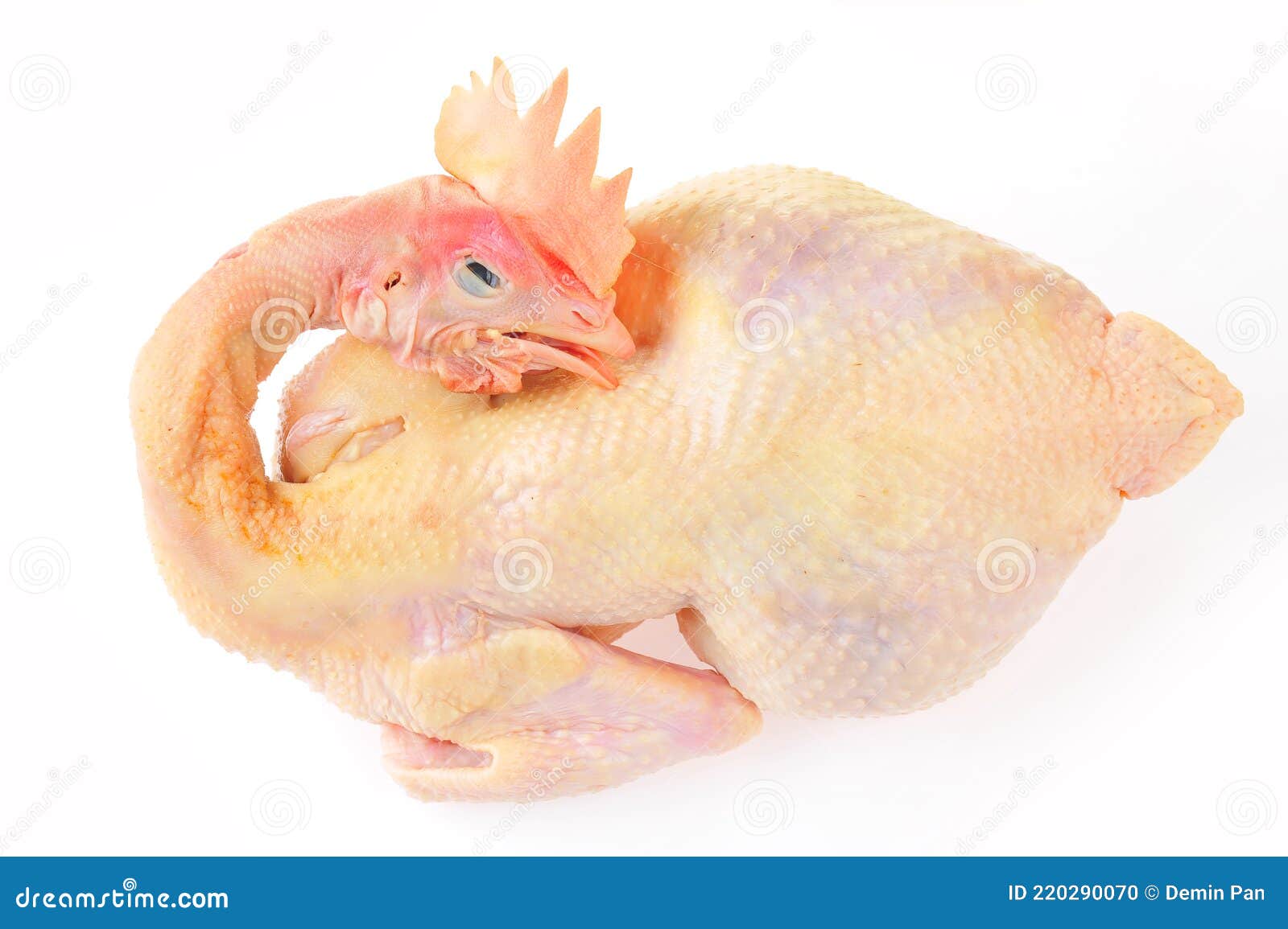 Chicken Isolated on a White Background Stock Photo - Image of meat ...