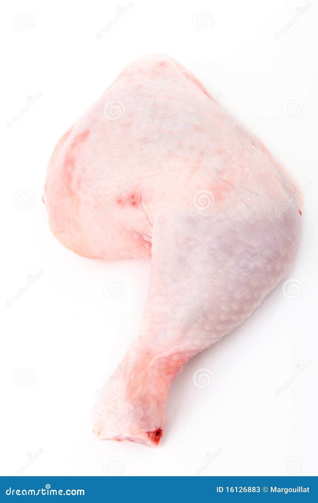 Chicken leg stock image. Image of healthy, barbecue, food - 16126883