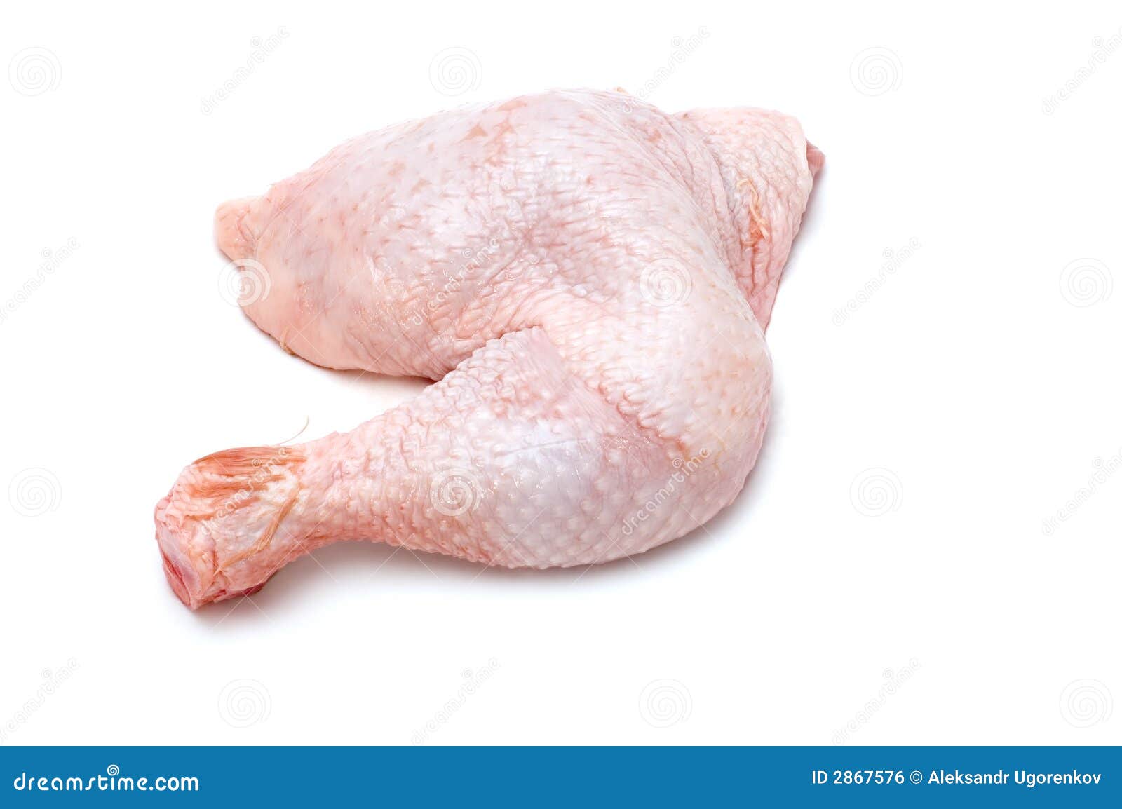 Chicken leg stock photo. Image of chicken, isolated, meat - 2867576