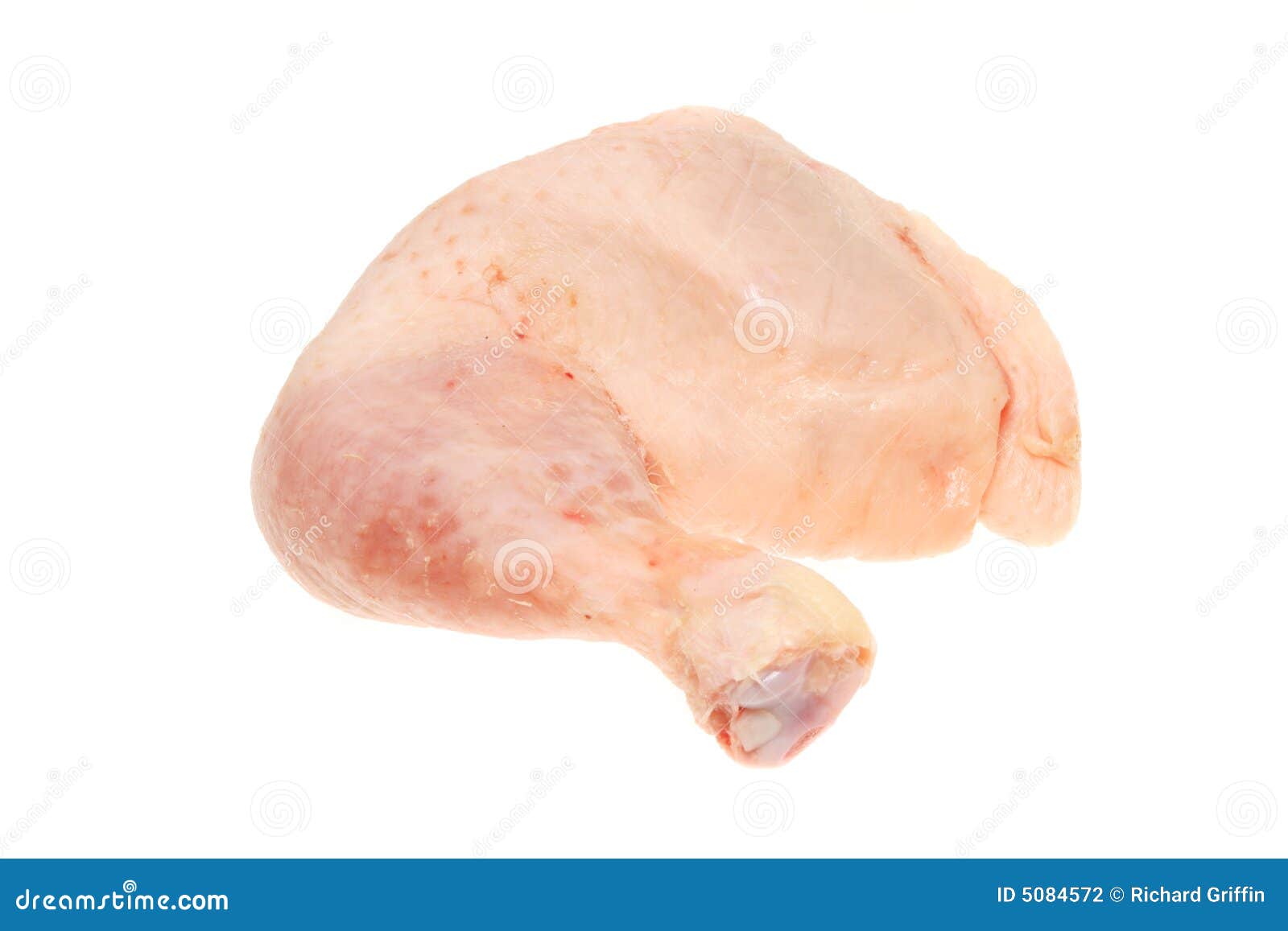 Chicken leg stock photo. Image of bone, thigh, cooked - 5084572