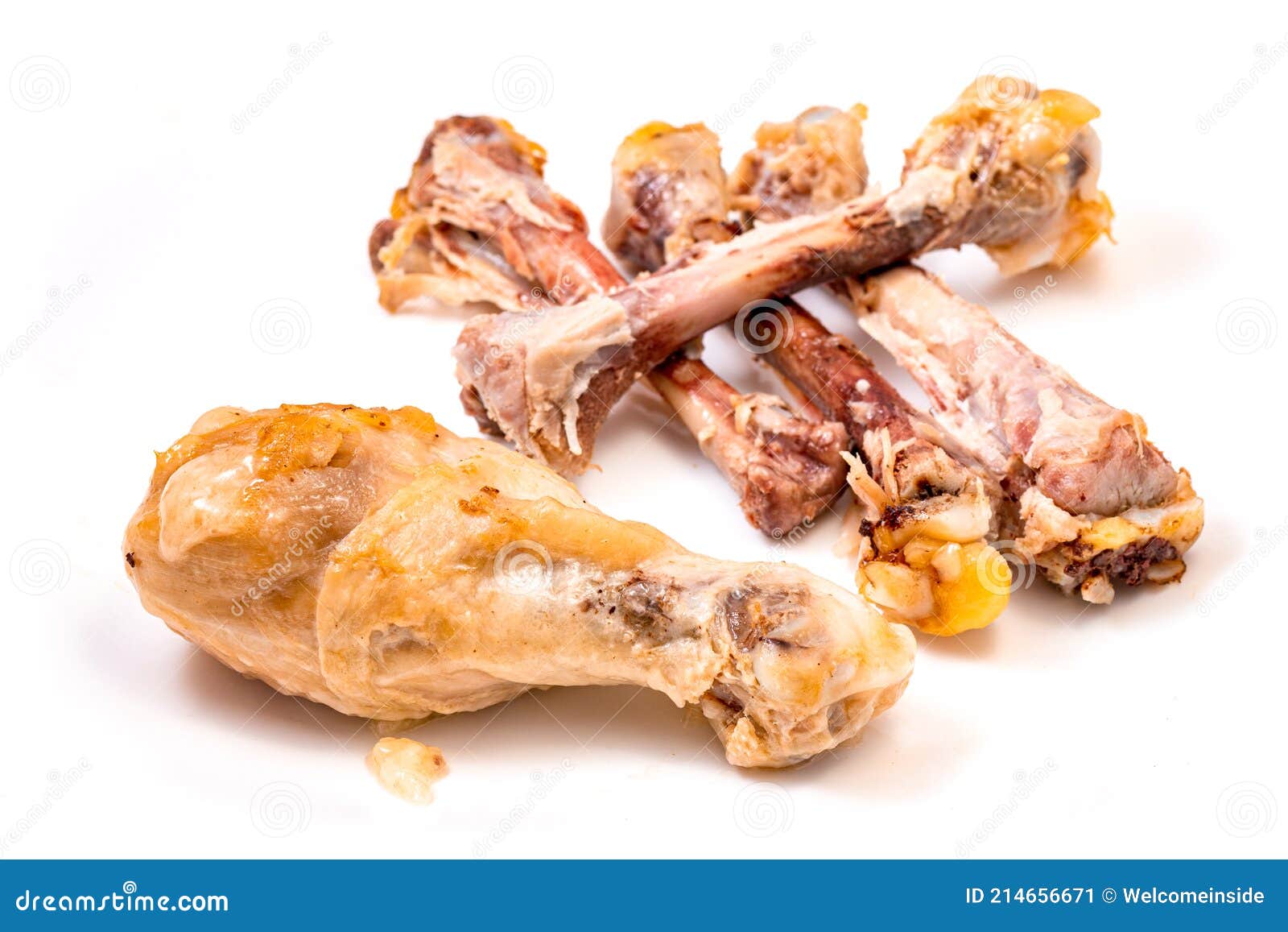 Chicken leg bone isolated stock image. Image of fowl - 214656671