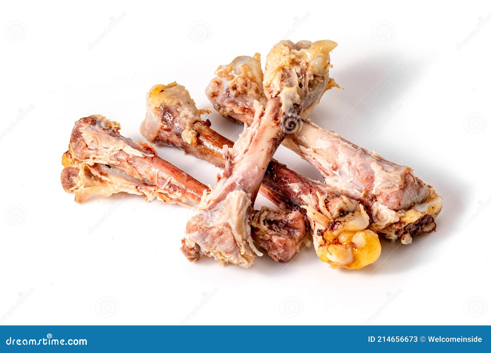Chicken leg bone isolated stock image. Image of food - 214656673