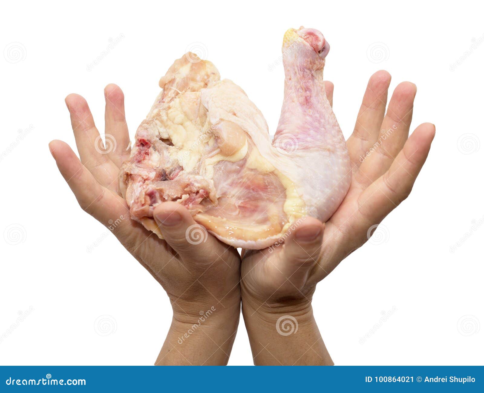 Chicken Leg in Hand on White Background Stock Image - Image of fingers ...