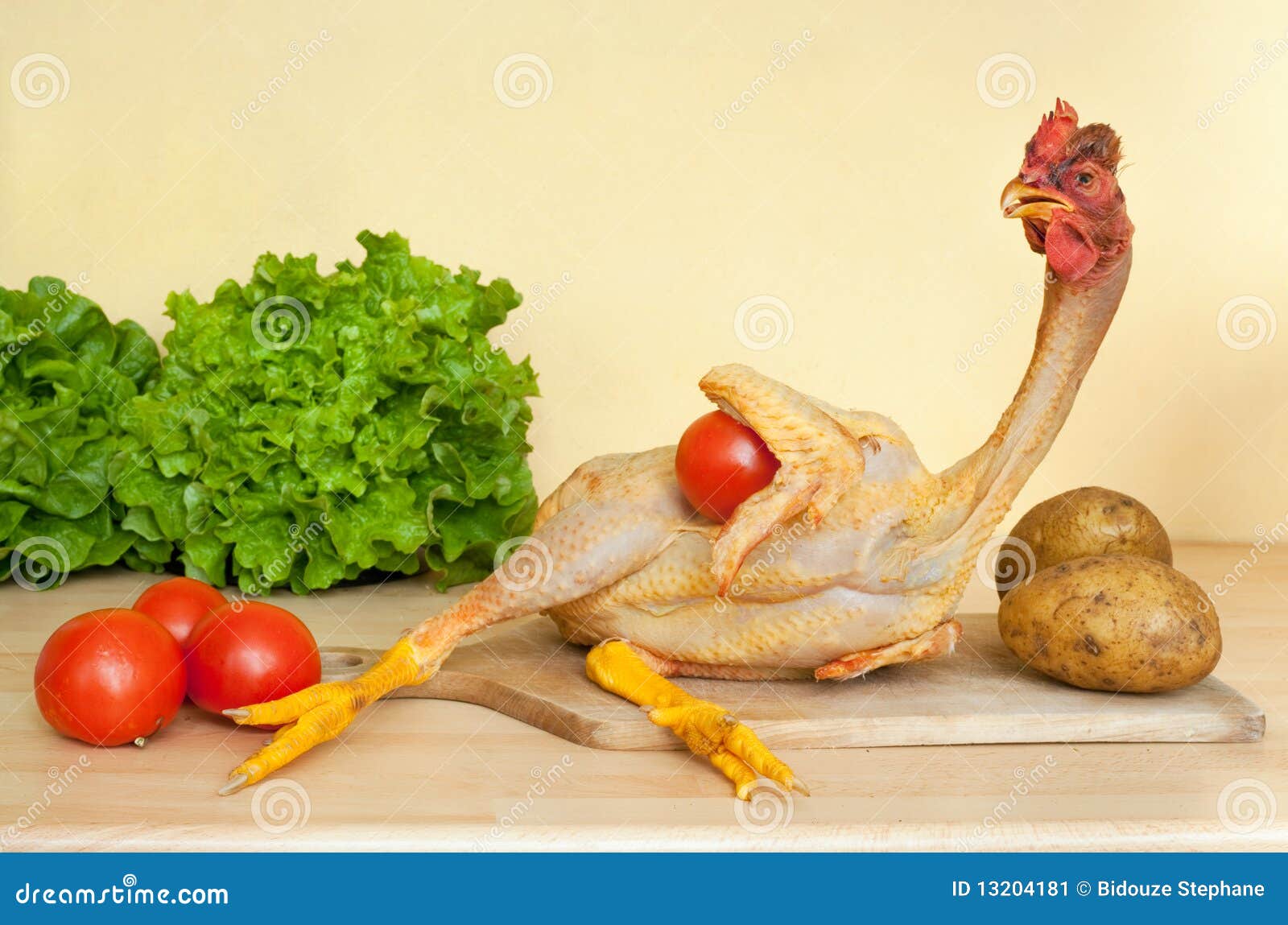 Chicken lying stock image. Image of chicken, kitchen - 13204181