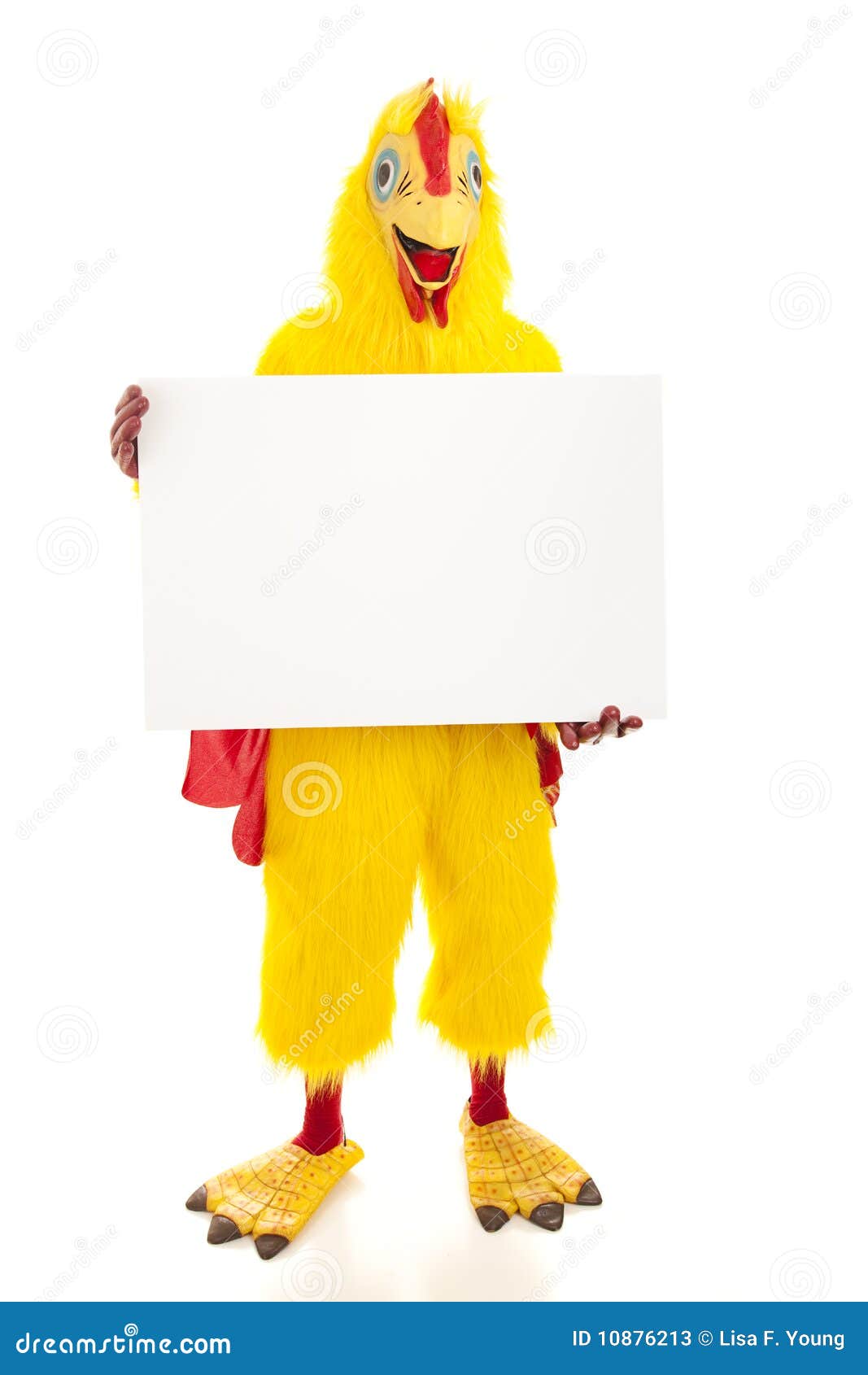 Chicken Man Holds Blank Sign Stock Image - Image of body, bird: 10876213