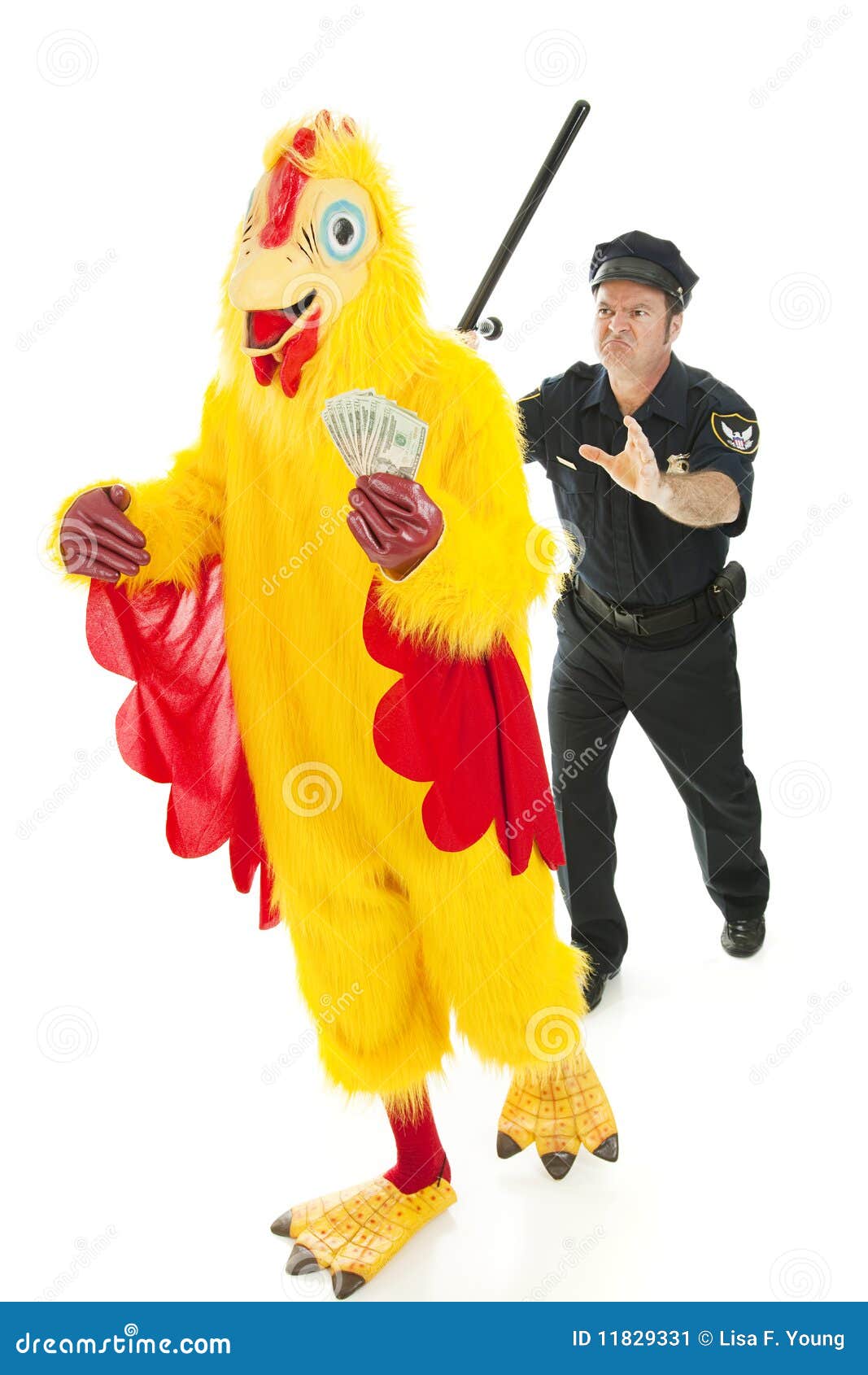 Chicken Man on the Lam stock image. Image of chasing - 11829331