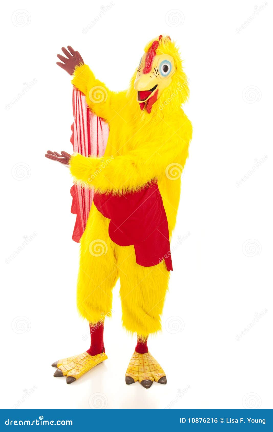 Chicken Man Presents stock photo. Image of animal, chicken - 10876216