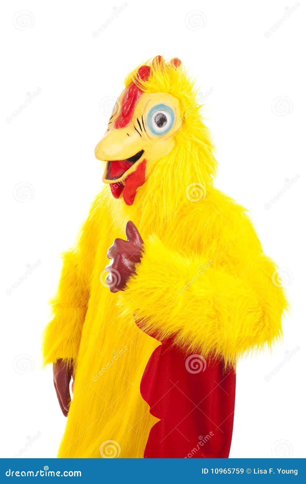Chicken Man Thumbs Up stock image. Image of yellow, smiling - 10965759