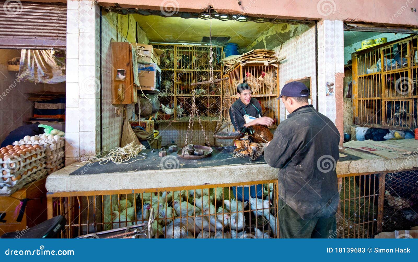 Chicken Market in Marrakech Editorial Stock Photo - Image of people ...
