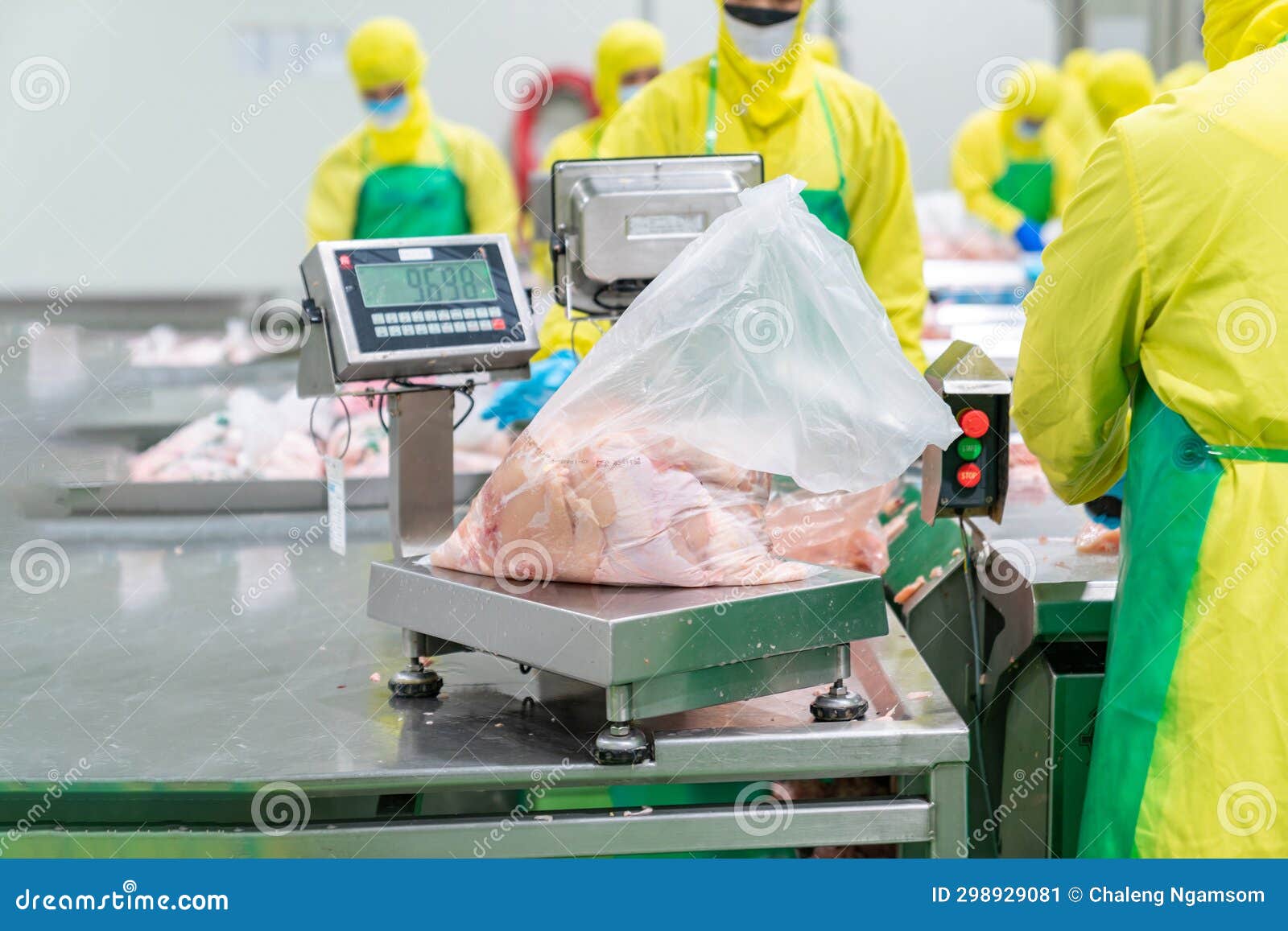 Chicken Meat in Bag Weighing on Digital Scale Stock Image - Image of ...