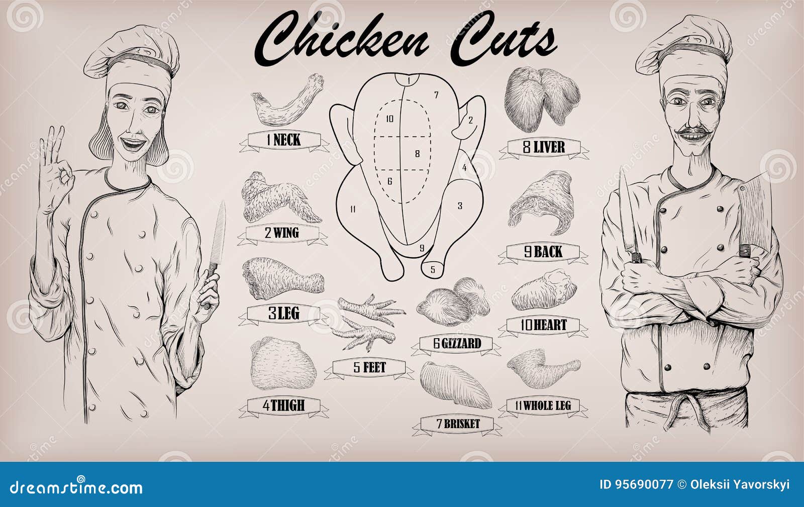 Chicken, Hen. Scheme, Diagram, Chart Chicken Butcher Guide Vector ... Chicken, Hen. Scheme, Diagram, Chart Chicken Butcher Guide Vector ...