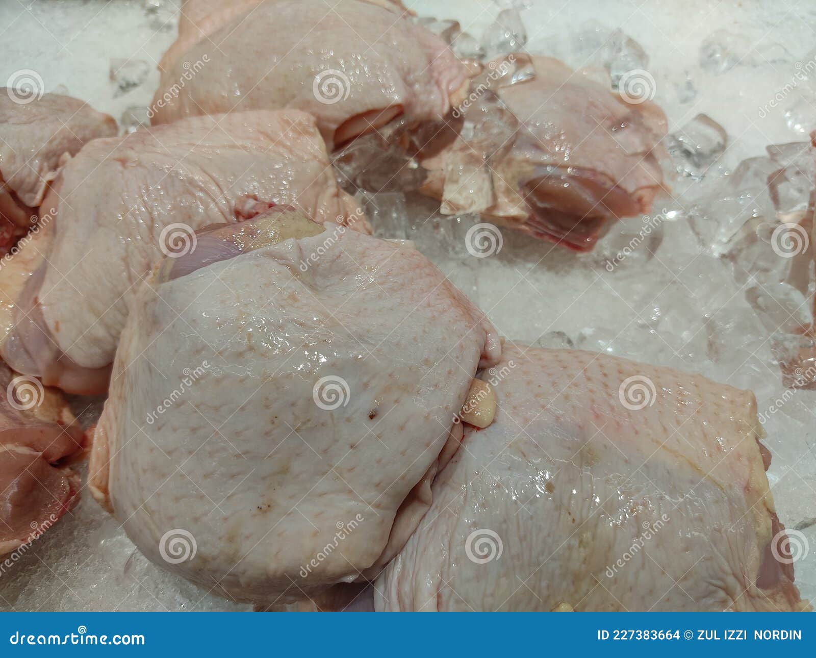Chicken Meat Cut on the Ice Cubes To Maintain Freshness Stock Photo ...