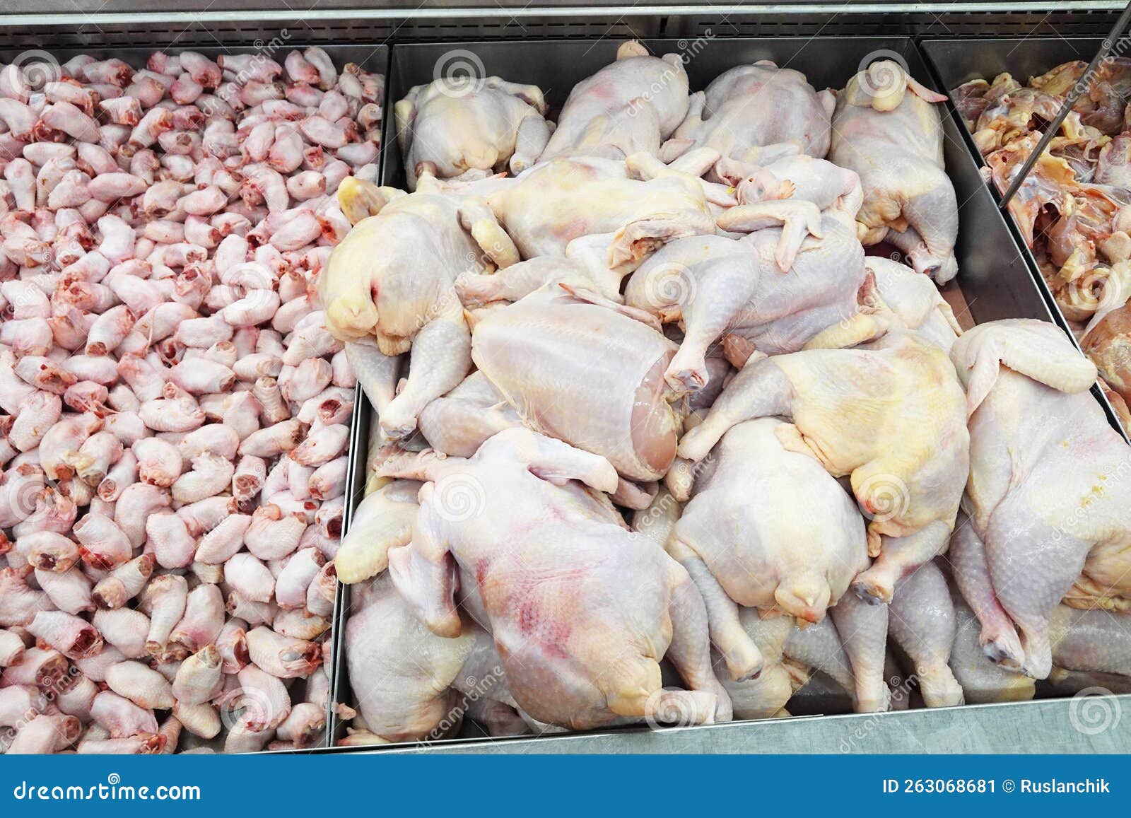 Chicken meat stock image. Image of butchery, holding - 263068681