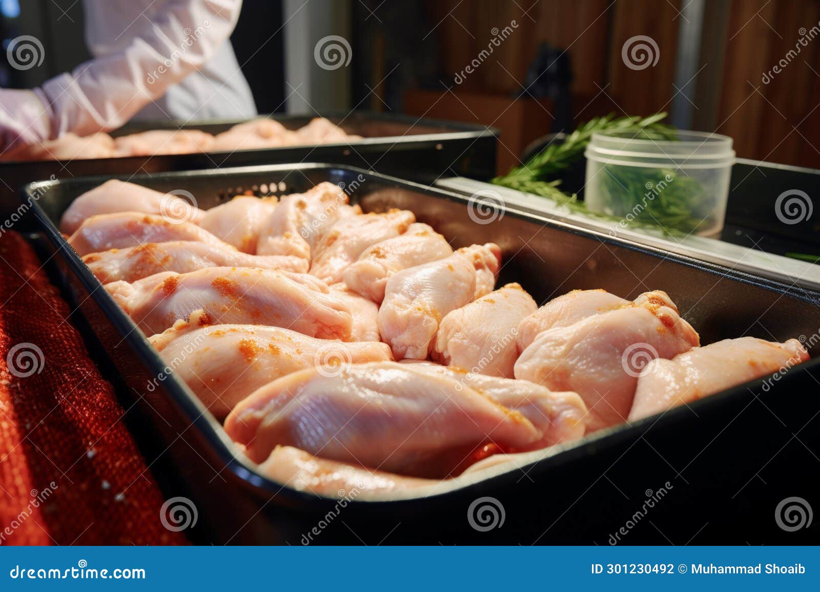 Chicken Meat Production Process from Farm To Processing Stock ...
