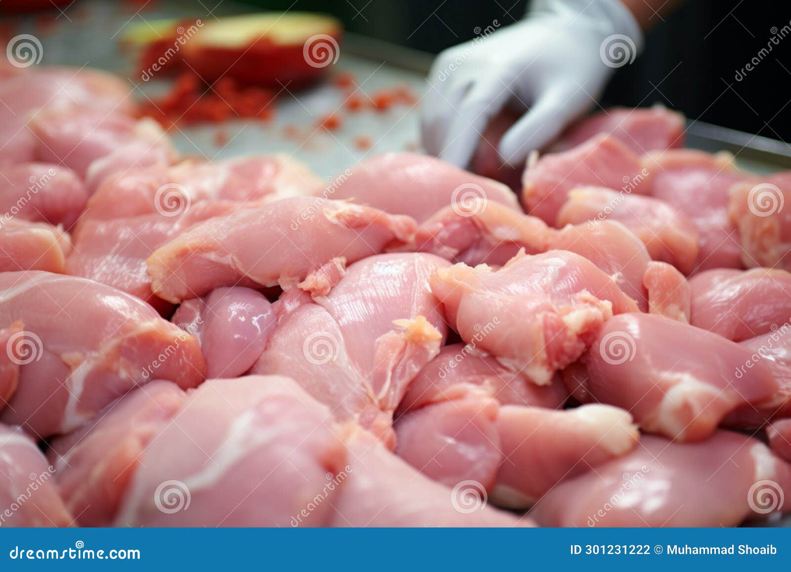 Chicken Meat Production Process from Farm To Processing Stock ...