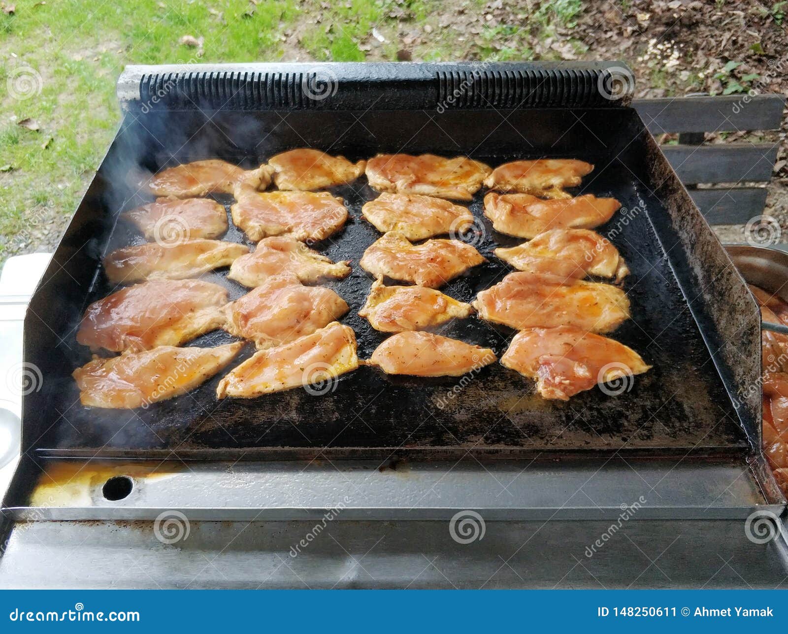 Chicken meats on barbecue stock image. Image of meats - 148250611