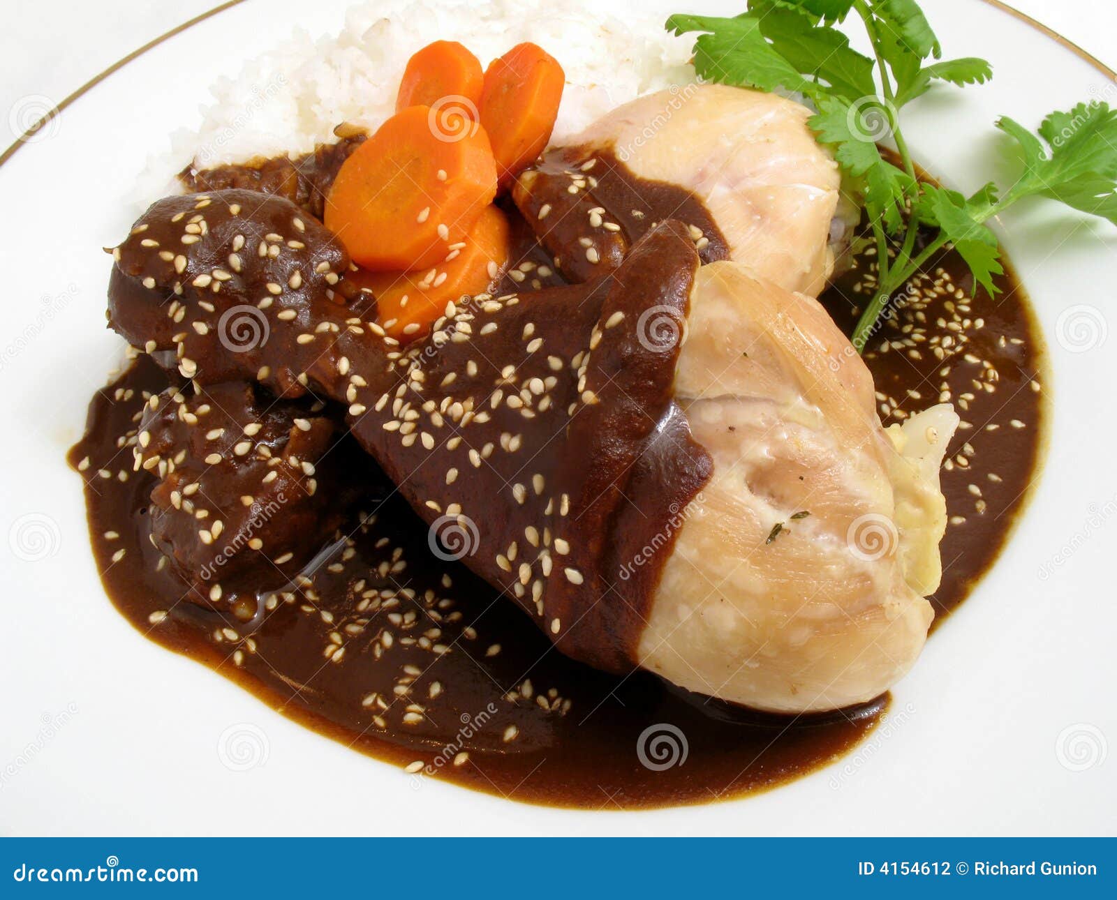 Chicken Mole stock photo. Image of sprig, sauce, food - 4154612
