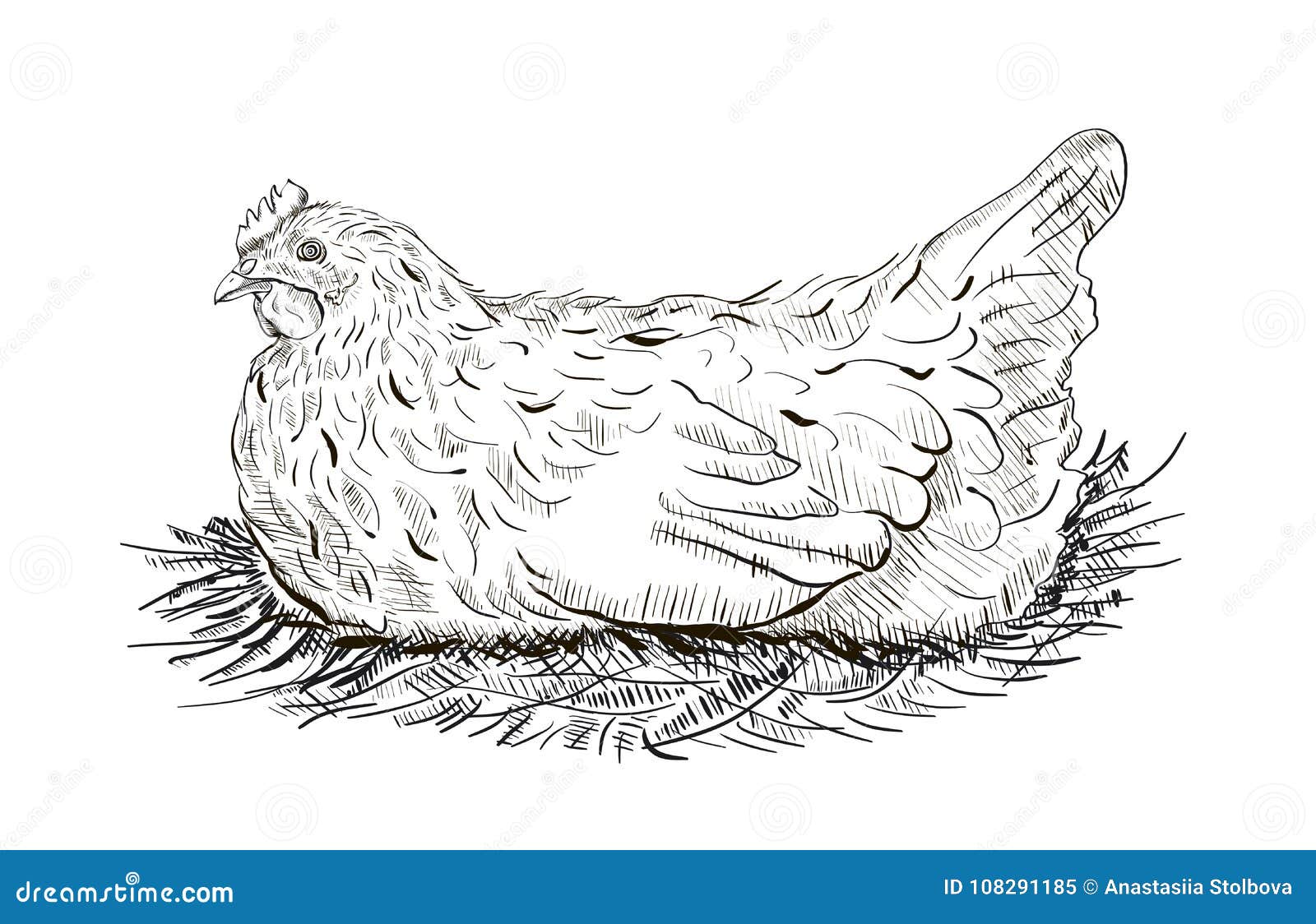 Chicken in the nest stock vector. Illustration of drawn - 108291185