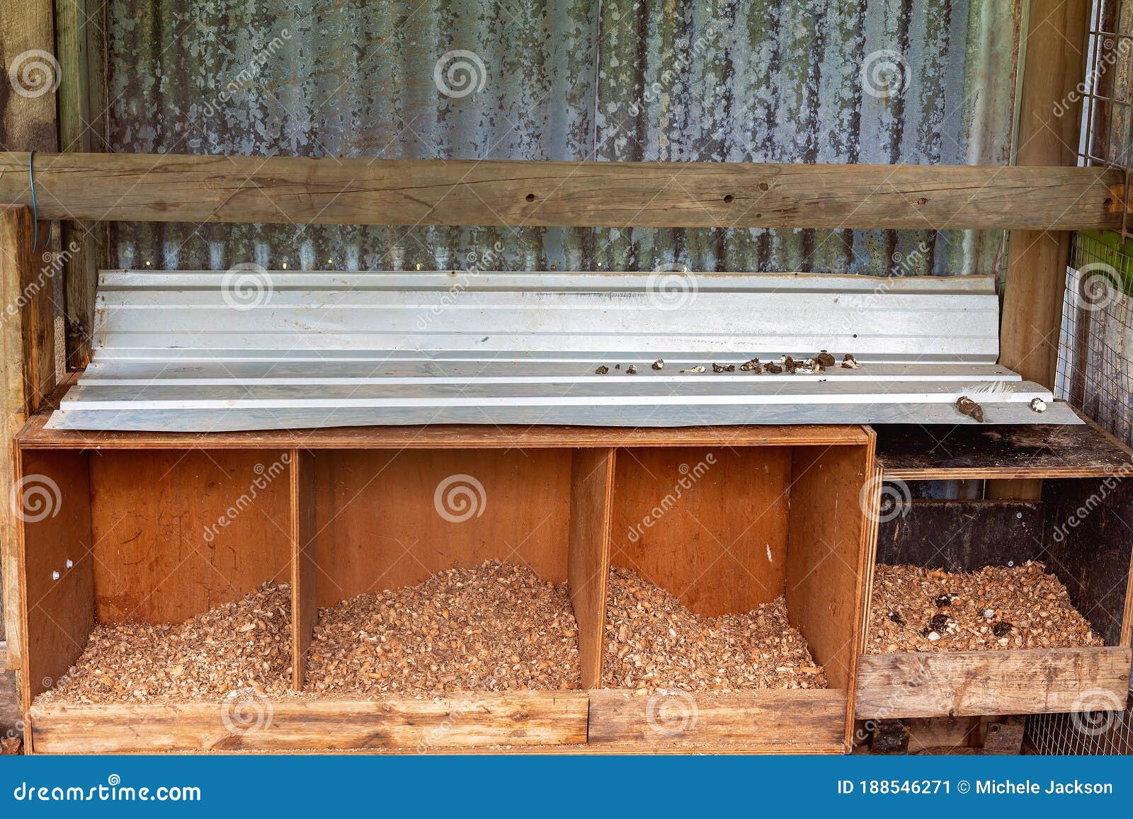 Chicken Nesting Boxes stock image. Image of closeup - 188546271
