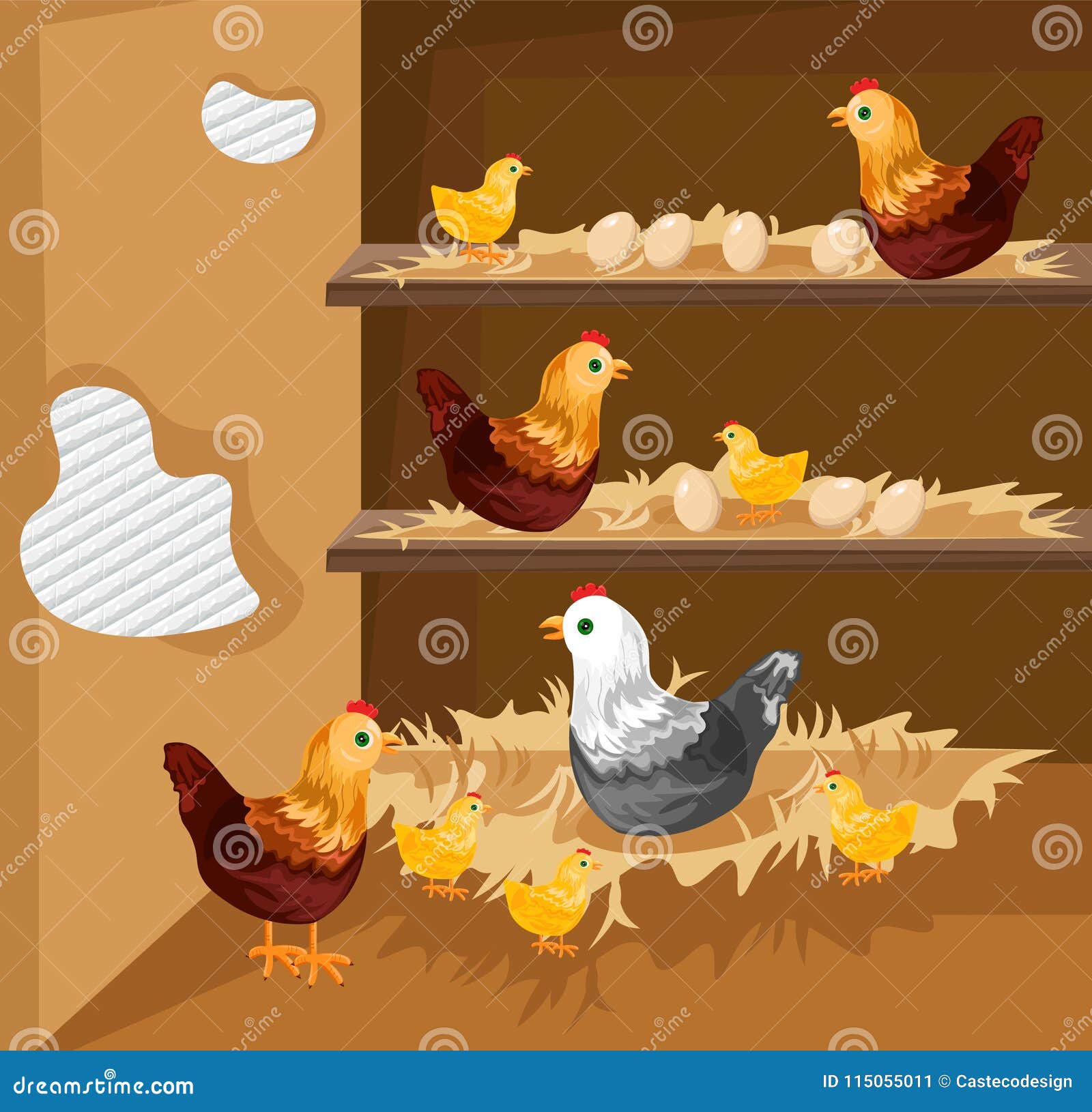 Chicken Nesting Laying Fresh Eggs, Farm And Farming Related ...