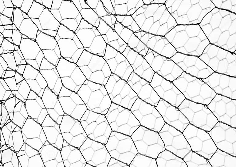 Chicken net stock image. Image of white, hexagon, strength - 9433229