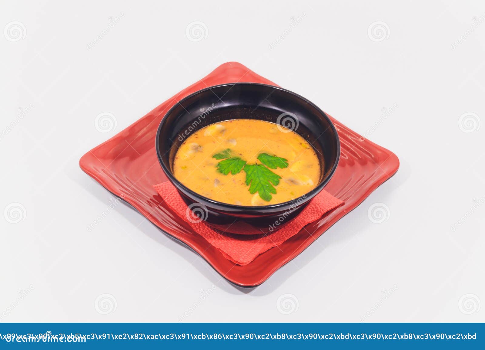 Chicken Noodle Soup , Cold and Flu Fighting Soup. Stock Photo - Image ...
