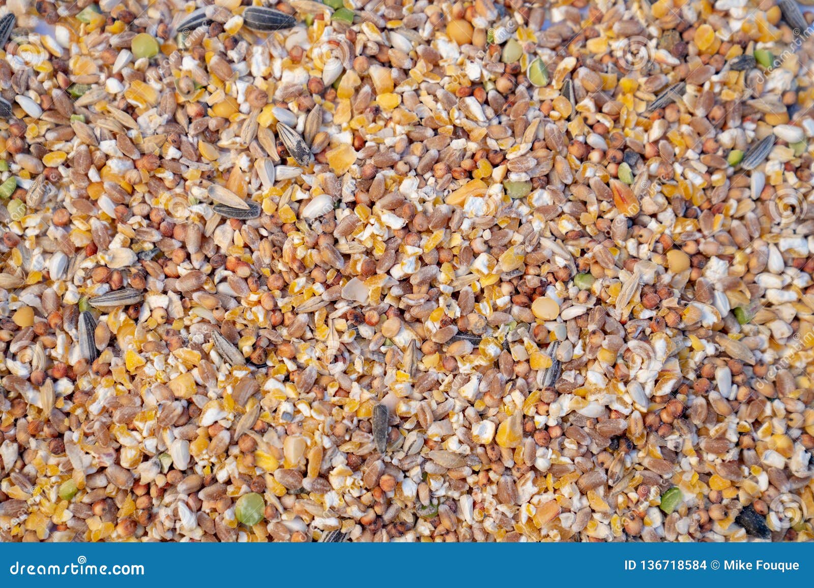 Chicken Organic Feed Isolated on White Background Stock Photo - Image ...