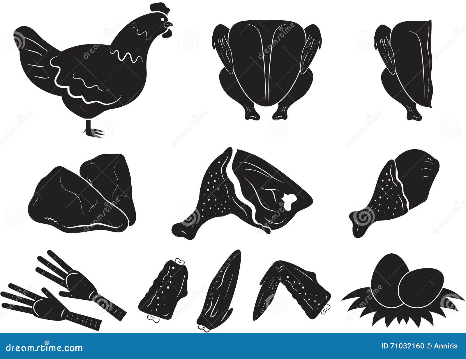 Chicken stock vector. Illustration of nature, hand, ingredients - 71032160