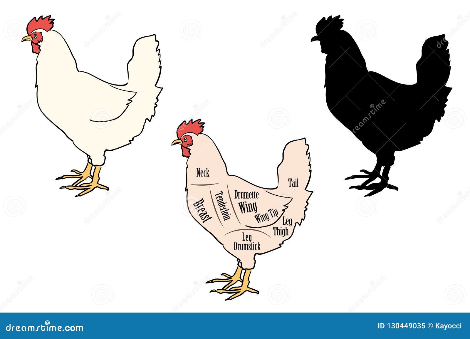 Chicken Parts Variation Set Stock Vector - Illustration of icon, chick ...