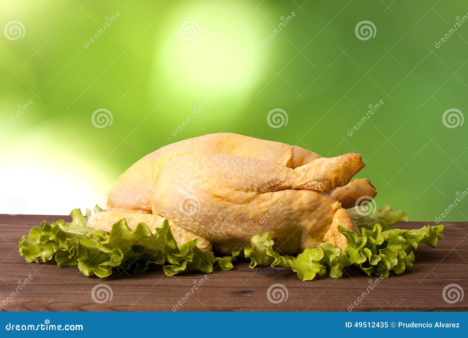 Chicken stock image. Image of closeup, poult, lettuce - 49512435