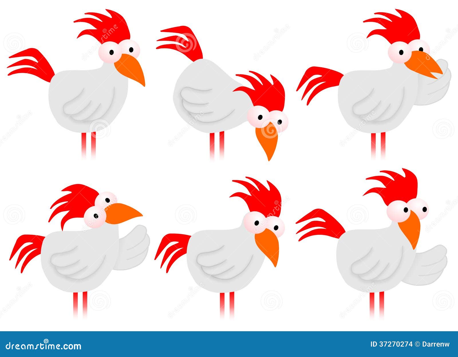 Chicken Poses stock illustration. Illustration of posed - 37270274